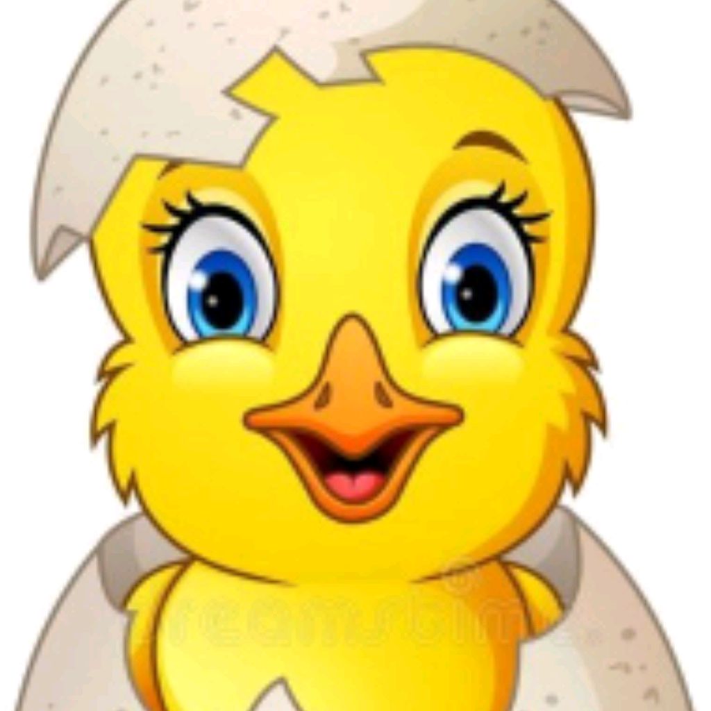 Иконка канала ЦЫПЛЯТА С НАШЕГО ДВОРА