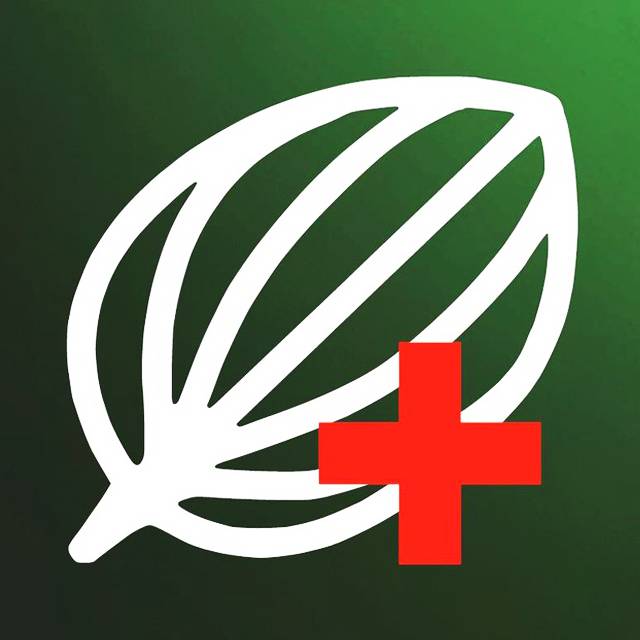 Иконка канала Подорожник Плюс | Тактическая медицина