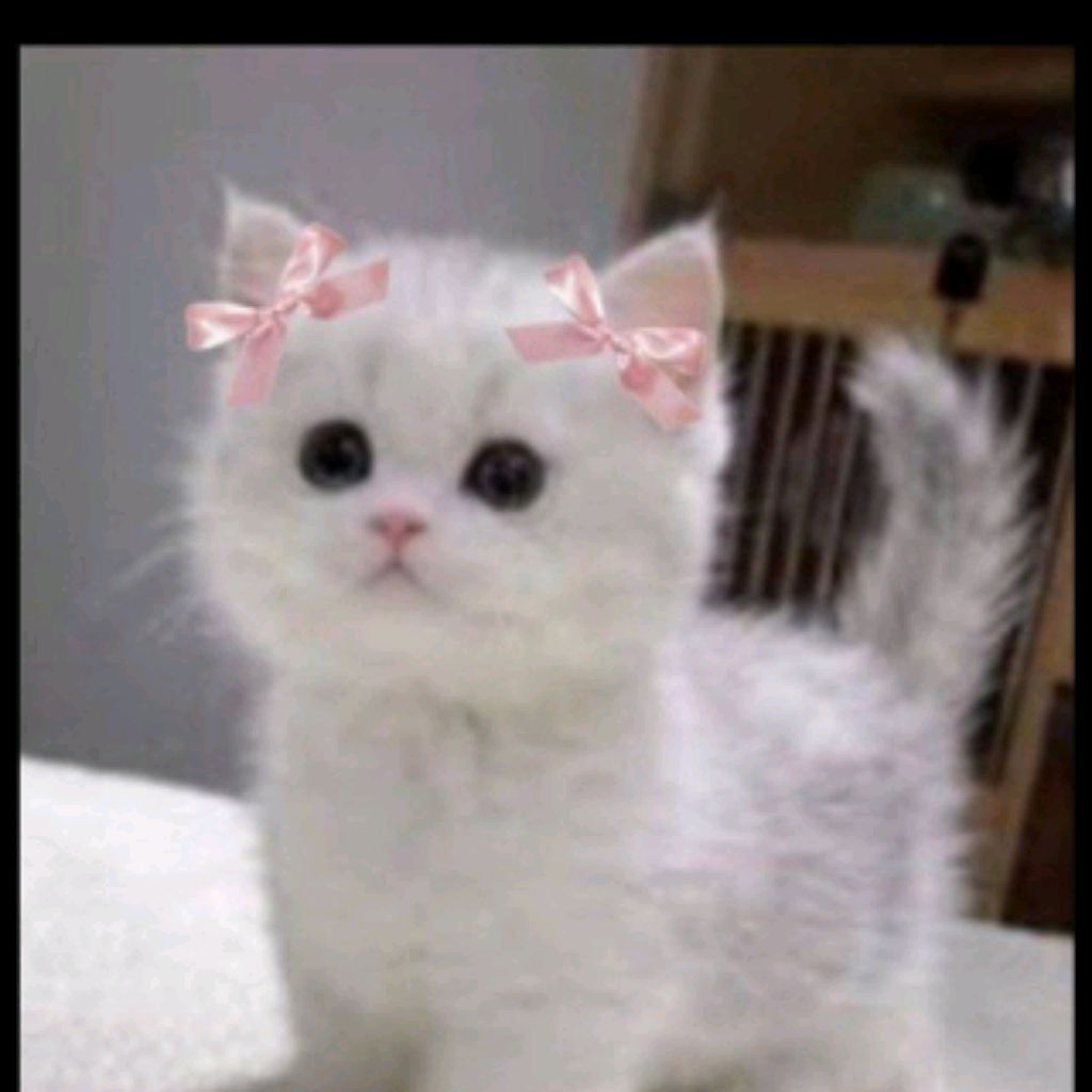 Иконка канала 🎀«истории рб»🎀