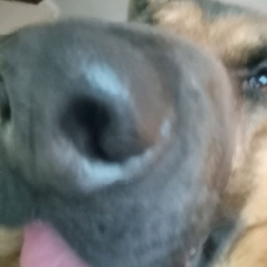 Иконка канала Крутой кабанчик🐗