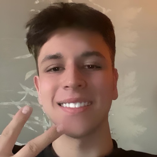 Иконка канала FreyzyFoxy