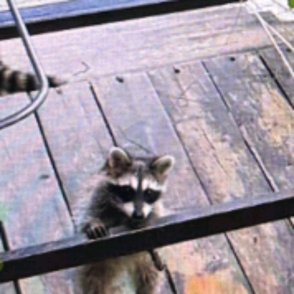 Иконка канала мистер вова 228