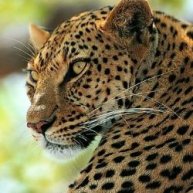 Иконка канала Mister Day