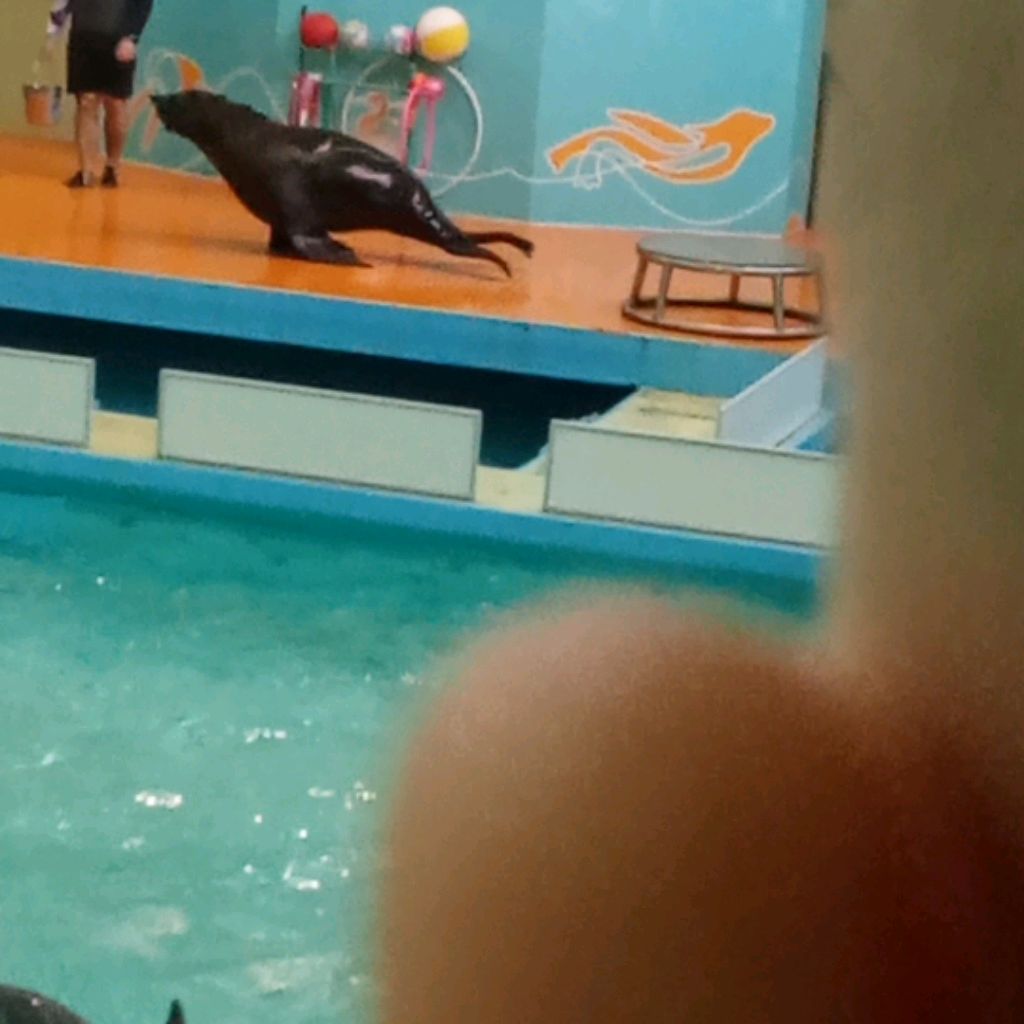 Иконка канала channel51390044