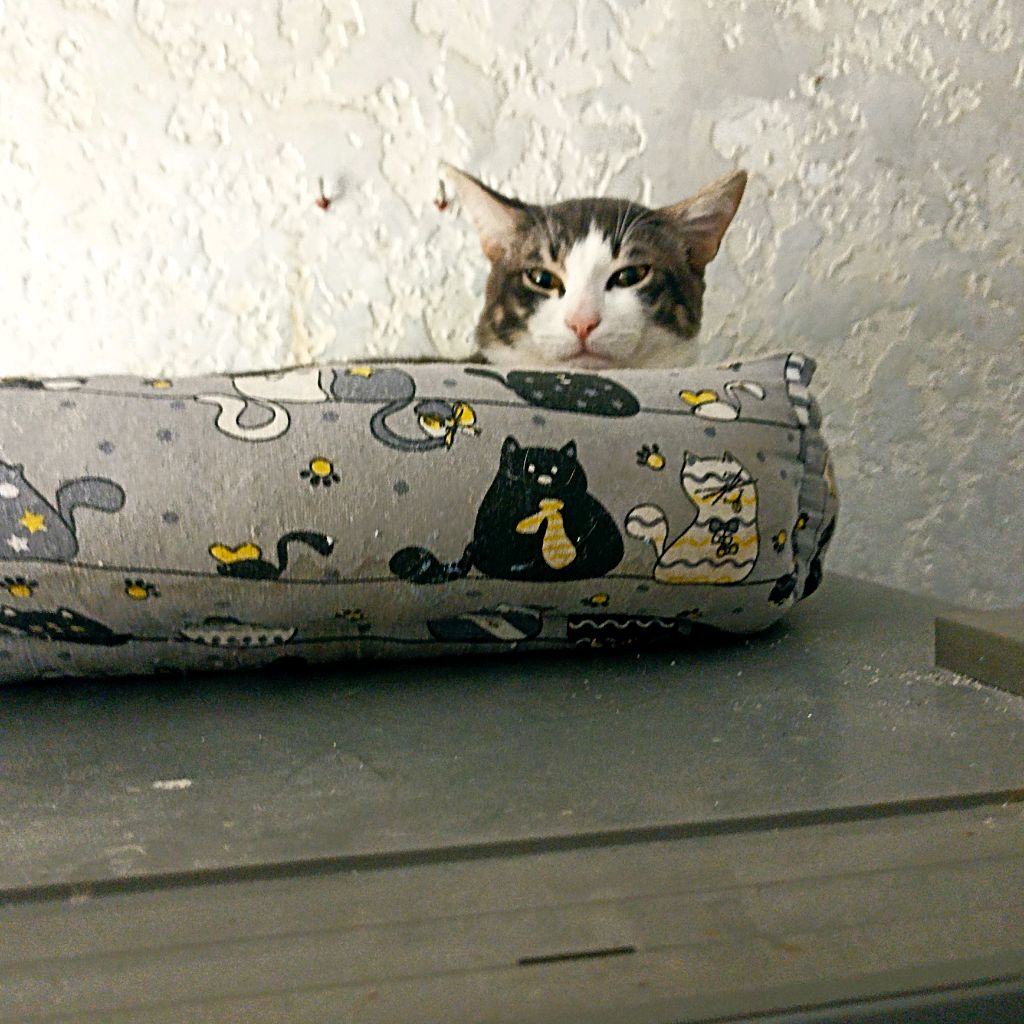 Иконка канала Игруля