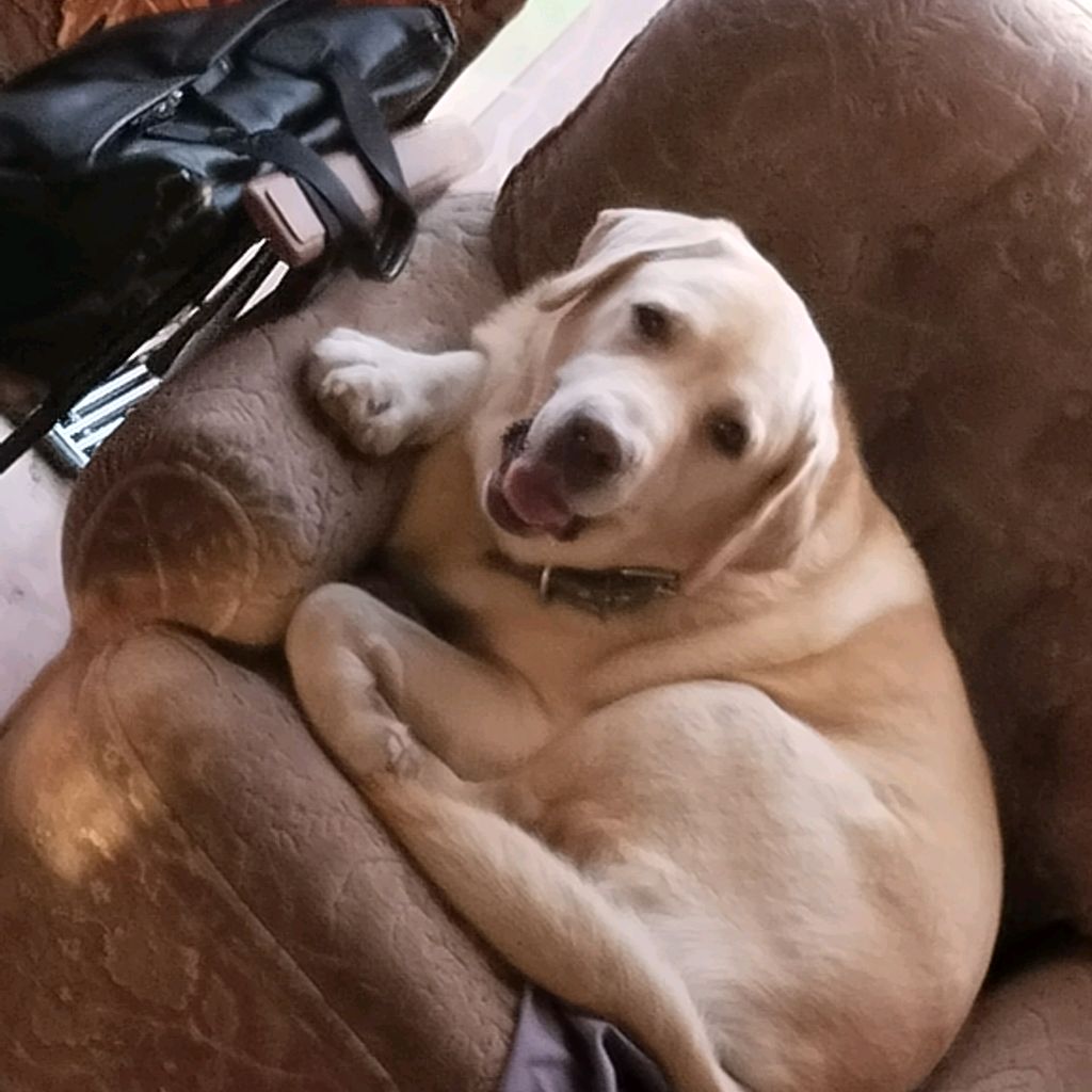 Иконка канала Андрей 909