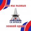 Иконка канала СК БРЯНСК 2014