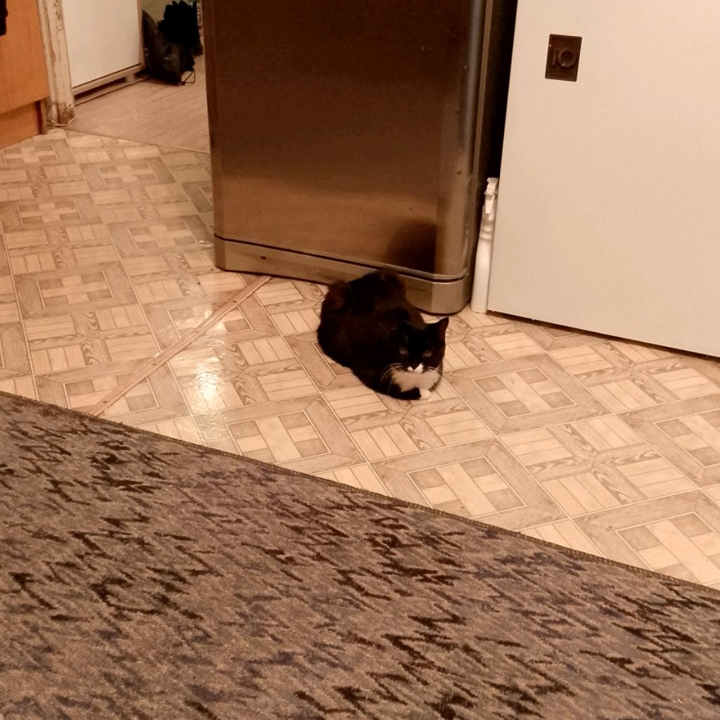 Иконка канала Sherihaslove