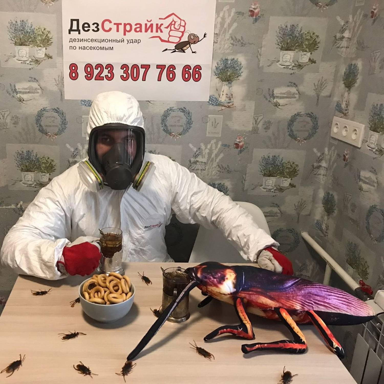 Иконка канала ДезСтрайк Дезинсекция Красноярск