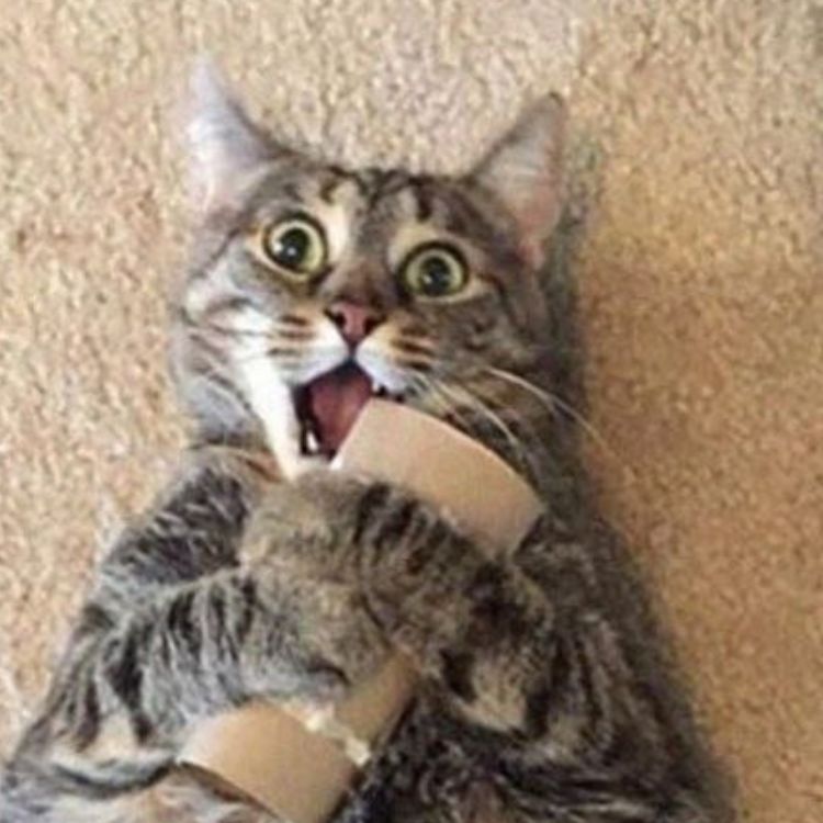 Иконка канала Alex-_-top 1560