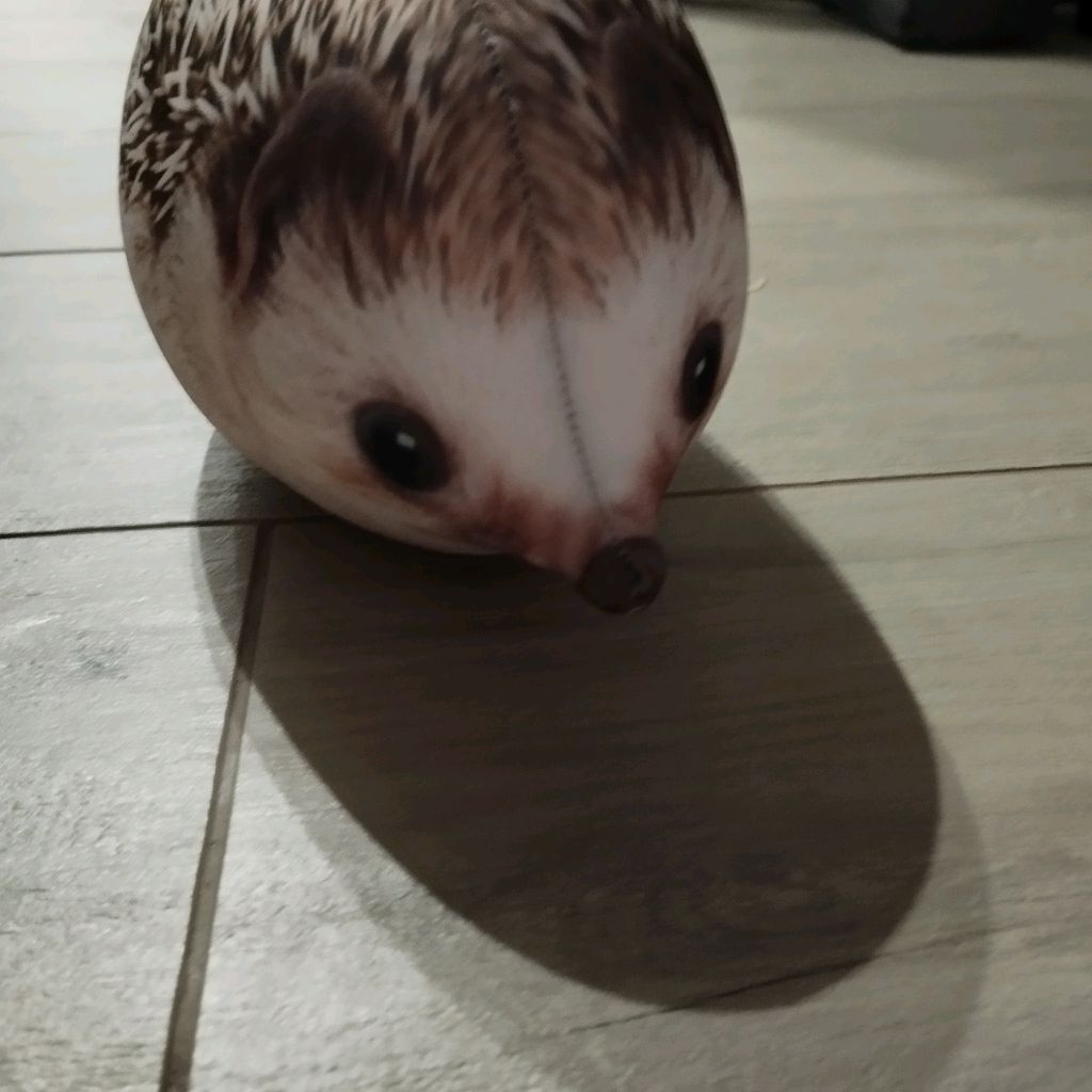 Иконка канала Мишундель 😃