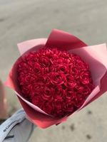 Иконка канала Камбуча