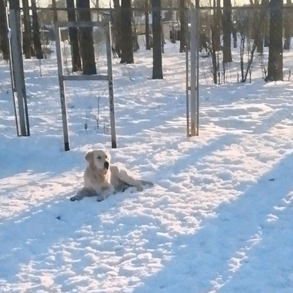 Иконка канала Каспер доброе привидение.