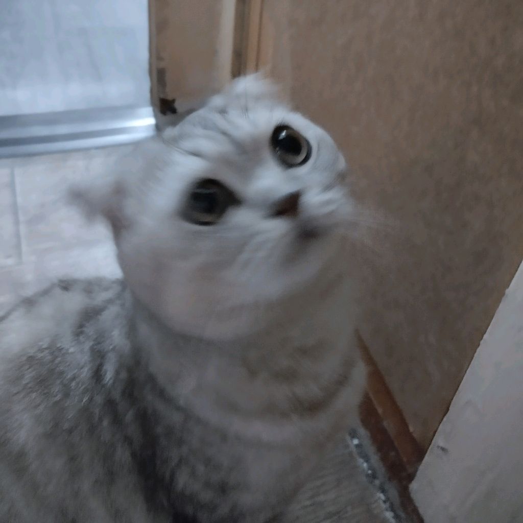 Иконка канала Данилка