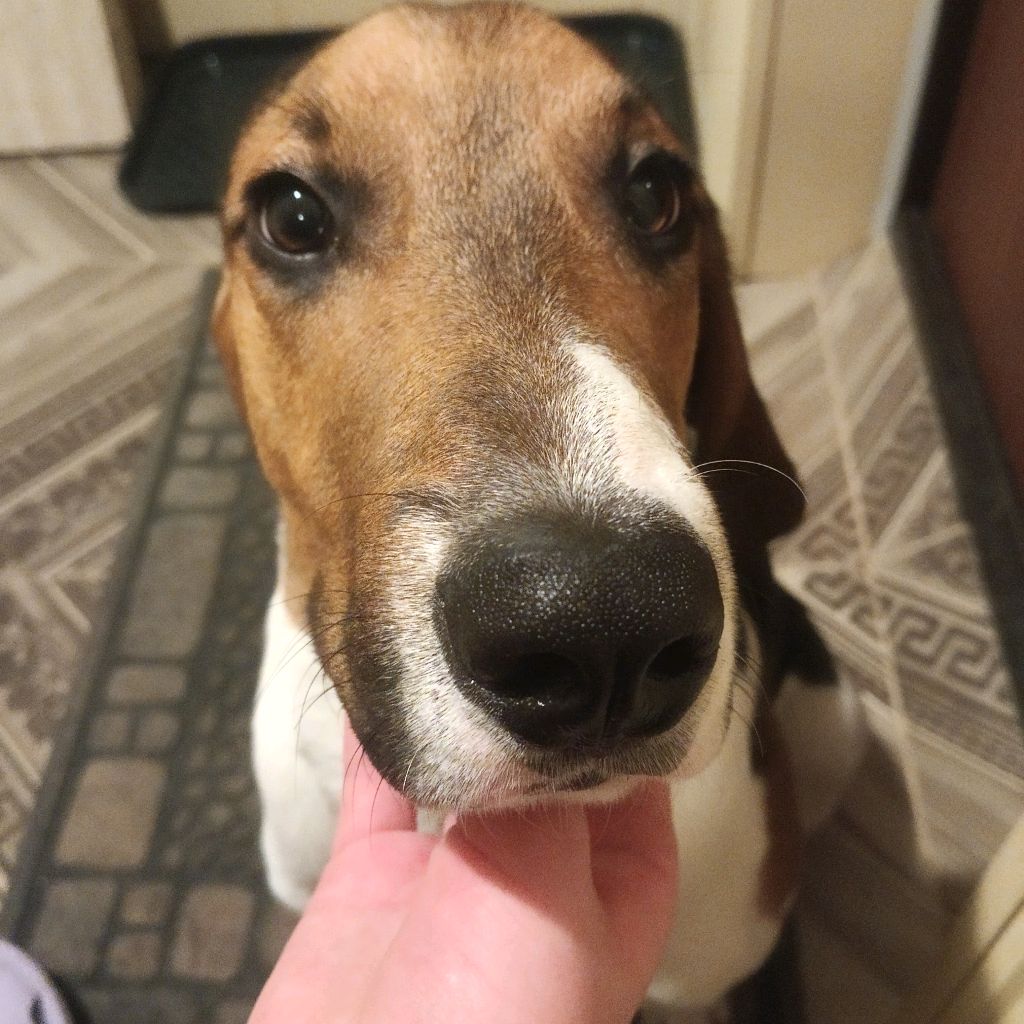 Иконка канала kutabu