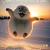 Иконка канала rutube_account_12166874