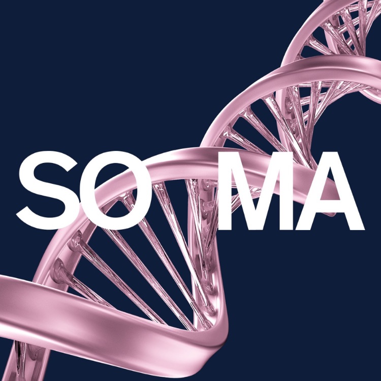 Иконка канала SOMA FEST