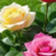 Иконка канала Радость.