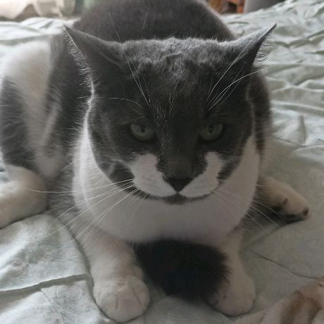 Иконка канала Лёха_Рябинин