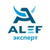 Иконка канала ALEF Эксперт