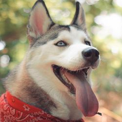 Иконка канала просто Андрей