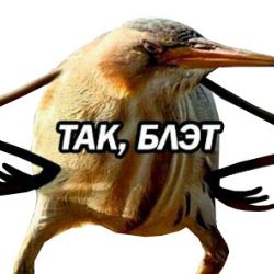 Иконка канала Деловая Птица