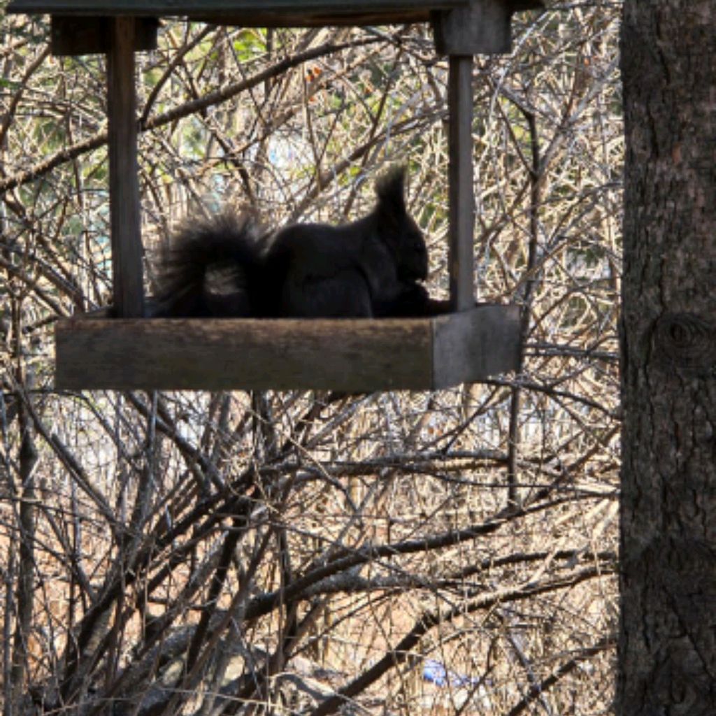 Иконка канала Ира Бутко