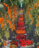 Иконка канала PETROVCHANKA LERA