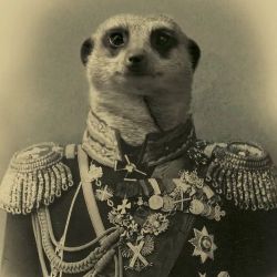 Иконка канала Syslik_1978