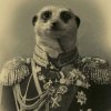 Иконка канала Syslik_1978
