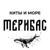 Иконка канала Teribas