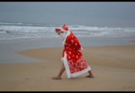 Иконка канала SerPas