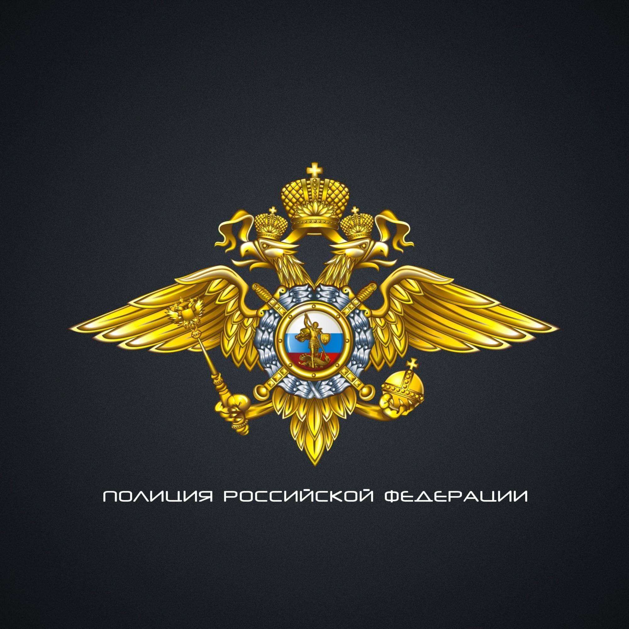 Иконка канала RADMIR RP 17