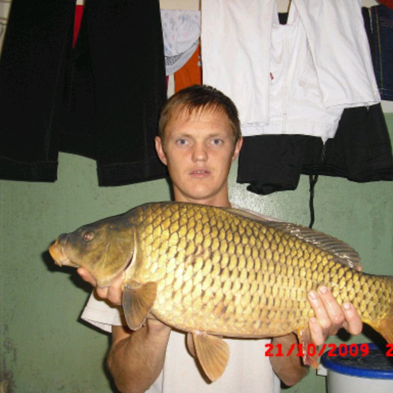 Иконка канала Грибокоп