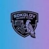 Иконка канала Sokolov Gaming Show