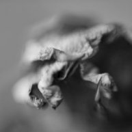 Иконка канала Marat Jacob