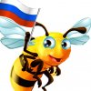 Иконка канала ПЧЁЛЫ И МЁД