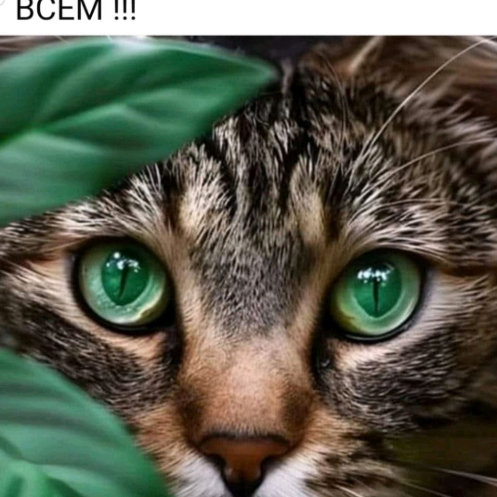 Иконка канала Марьяша