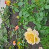 Иконка канала Секреты Вышивки Крестиком