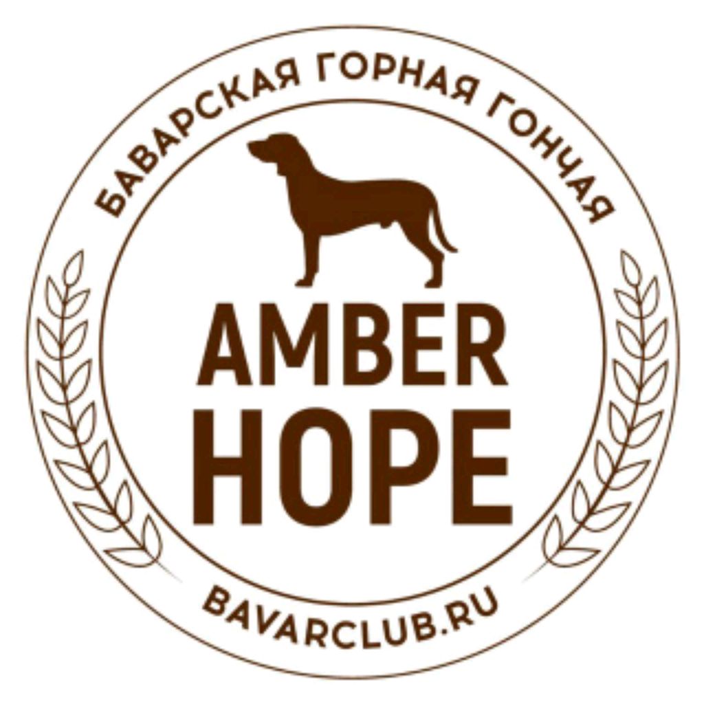 Иконка канала Amber Hope