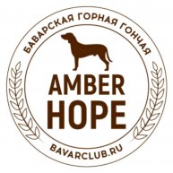 Иконка канала Amber Hope