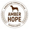 Иконка канала Amber Hope