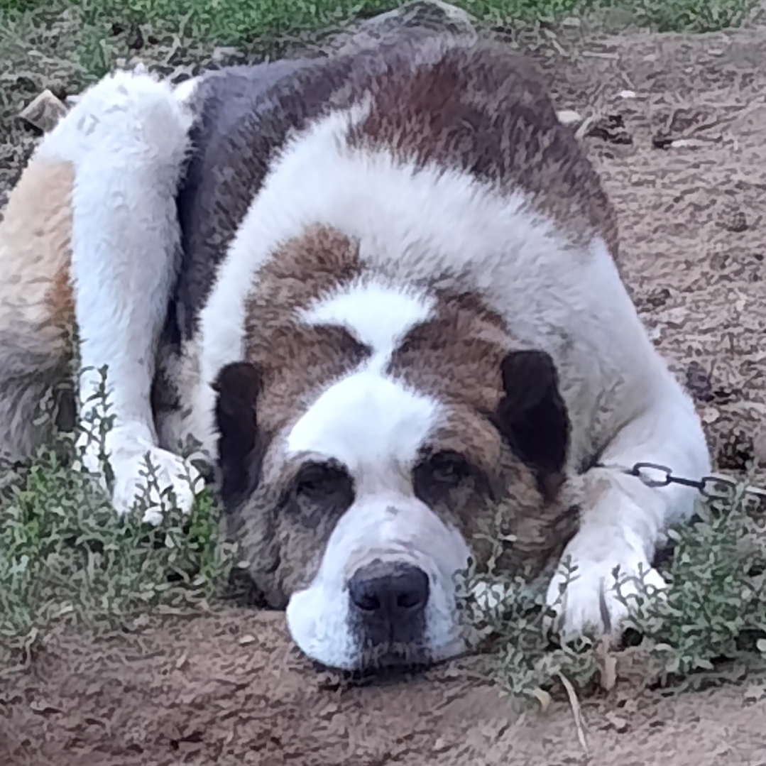 Иконка канала Всего по немногу👍