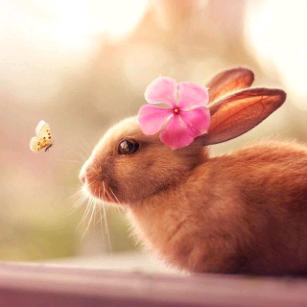 Иконка канала Просто Даша