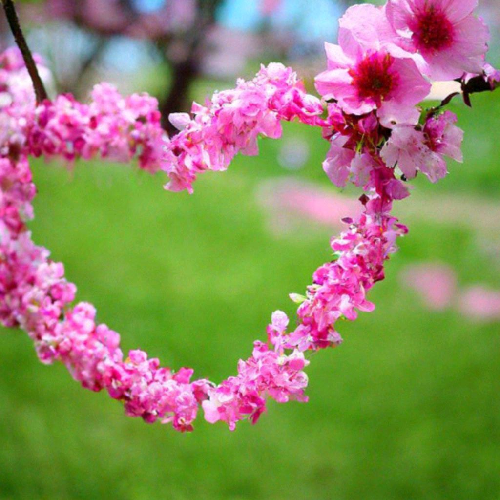 Иконка канала Аня😇😈