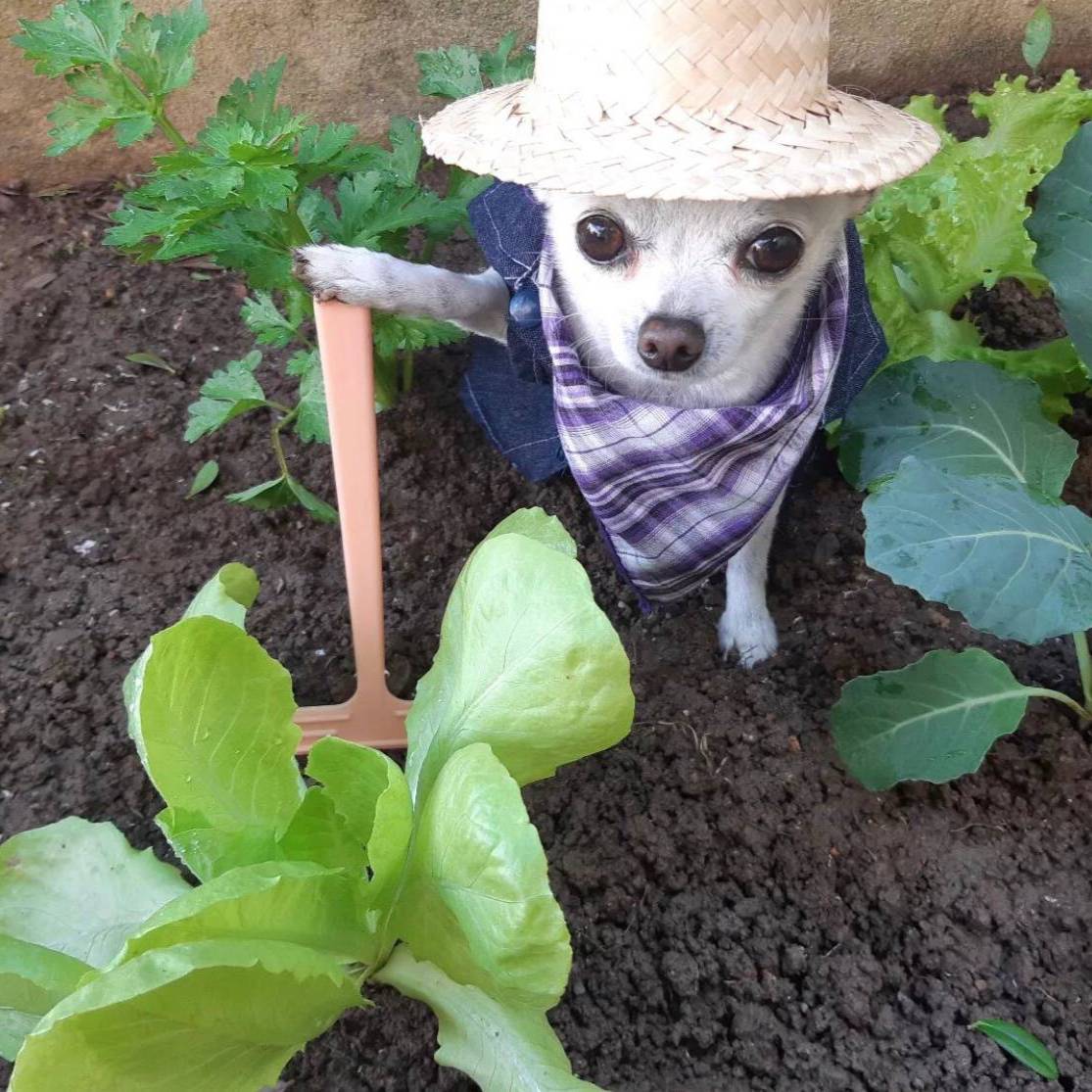 Иконка канала channel27898966_такой весь новый такой весь класс