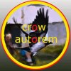 Иконка канала #crowautorem
