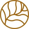 Иконка канала institute_sargi