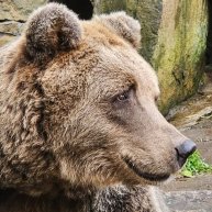 Иконка канала X_centric