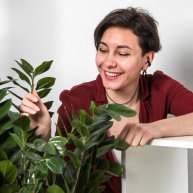 Иконка канала Гринотека | комнатные растения и озеленение